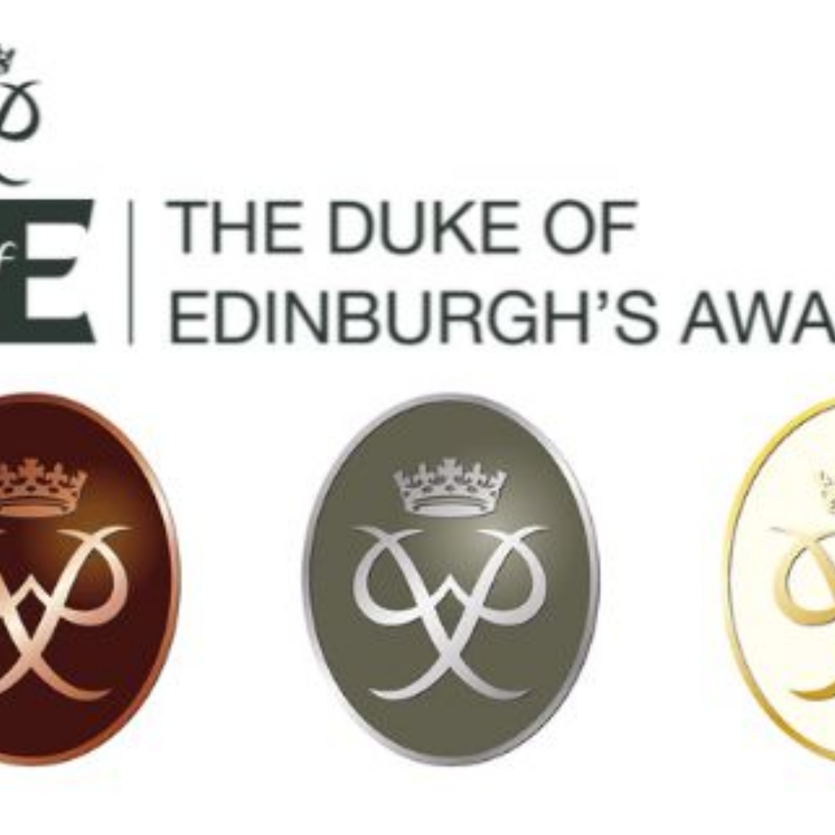 The Aylesbury Vale Academy - Duke of Edinburgh Assembly & Enrolment ...